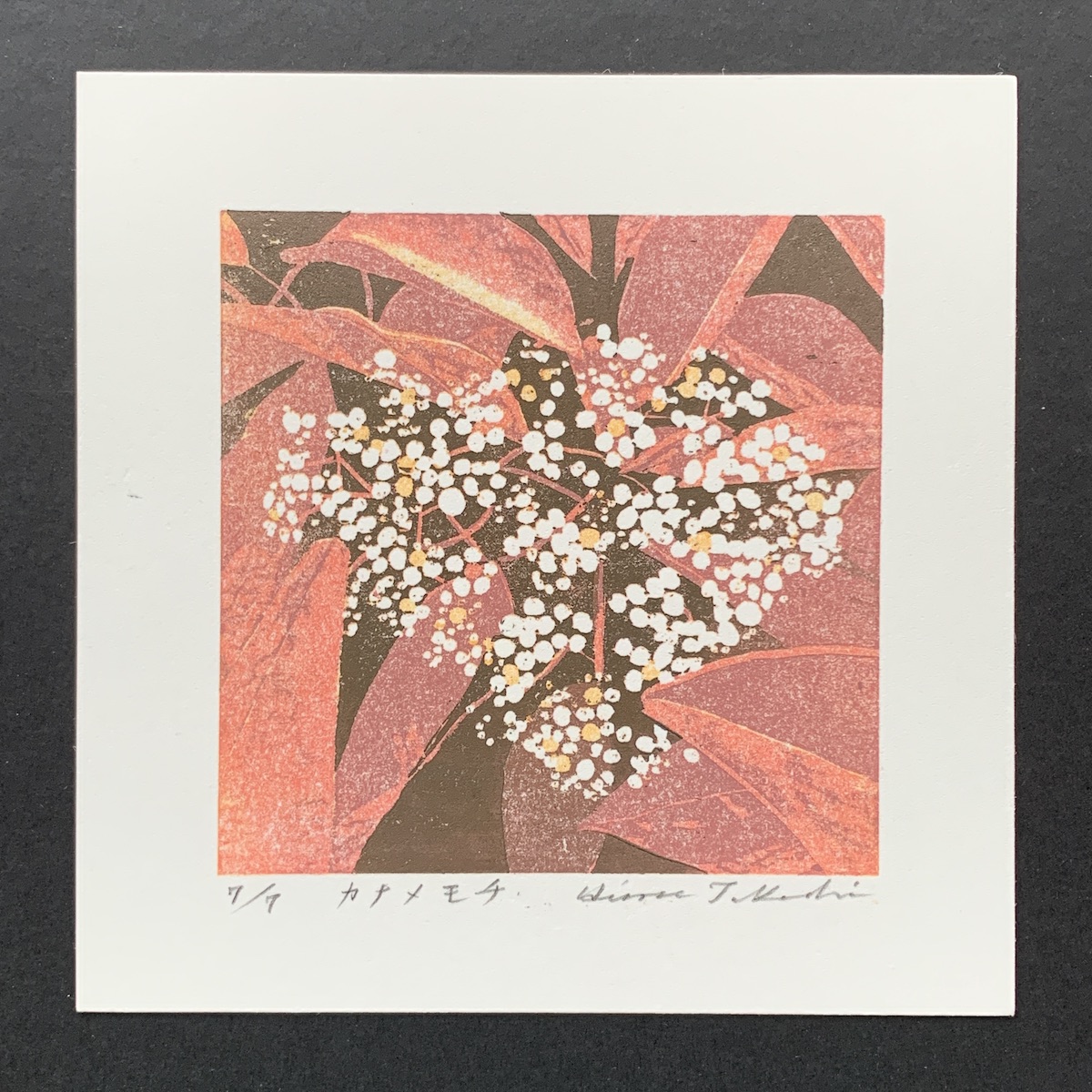 Takashi Hirose: "Japanese Photinia" edition: 7/7